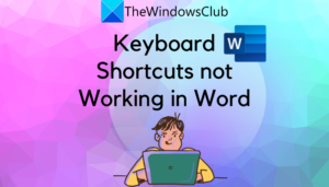 Keyboard Shortcuts not working in Excel or Word