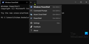 How to use Windows Terminal in Windows 11: Beginners Guide