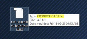Download is in progress says Chrome; But nothing is downloading