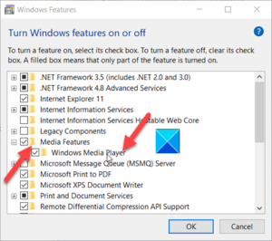 Video could not be decoded in Windows 11