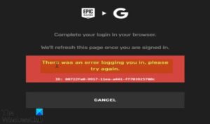 Fix Epic Games Launcher login errors on Windows 11/10