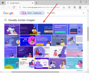 Add Search on Google Images using Context Menu in Windows 11