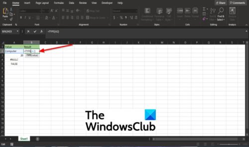 How to use the TYPE Function in Excel