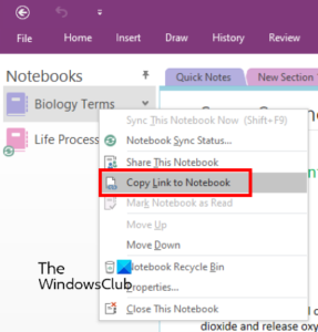 How to create links in OneNote