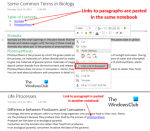 How to create links in OneNote