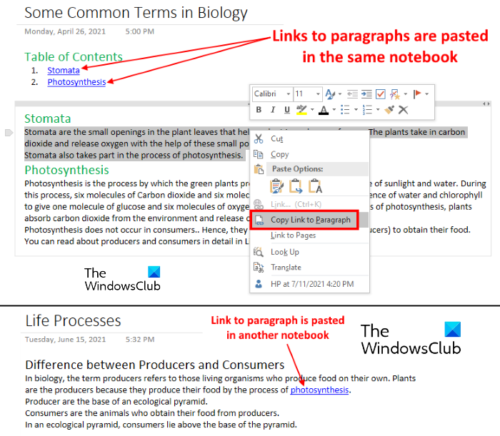 How to create links in OneNote