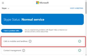 Cannot make a call on Skype on Windows 10