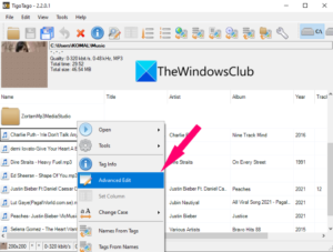 How to Embed Lyrics to MP3 files in Windows 11