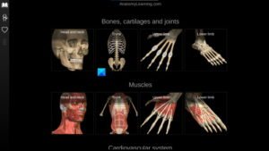 Best free 3D Human Anatomy software for Windows PC