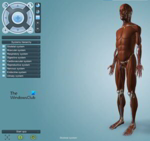 Best free 3D Human Anatomy software for Windows PC