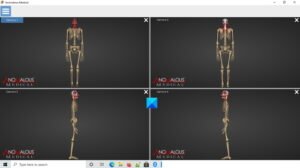 Best free 3D Human Anatomy software for Windows PC