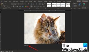 How to insert a Caption in Word