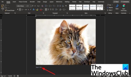 How to insert a Caption in Word