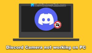 Fix Discord Camera not working on Windows PC