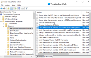 Service Host Delivery Optimization High Network, Disk, CPU usage
