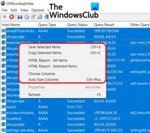 DNSLookupView: Free DNS Lookup Tool for Windows computers