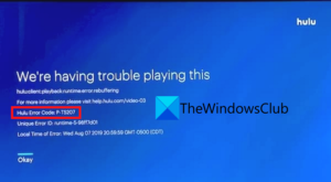 Hulu Error Code P-DEV313 and P-DEV322 [Fix]