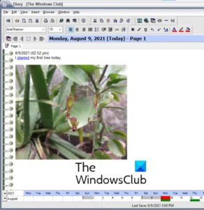 Best free Digital Diary software for Windows PC