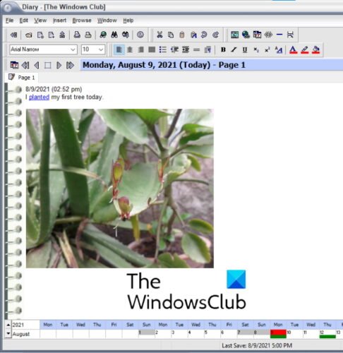 Best free Digital Diary software for Windows PC