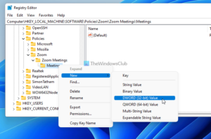 How to turn off Camera when joining Zoom Meeting