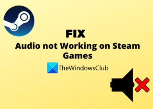 Steam Games No sound or audio on Windows PC