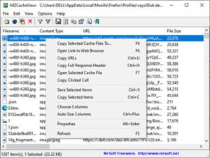 View Cache Files: Free Web Cache Viewer for Chrome, Edge, Firefox