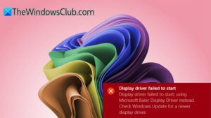 Display driver failed to start on Windows 11, Black Screen displayed
