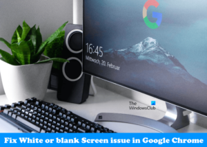 Fix Google Chrome blank white screen on Windows 11/10