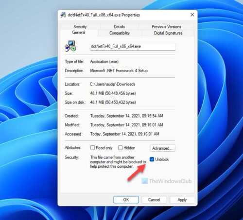 Fix .NET Framework Error 0x800c0006 on Windows 11