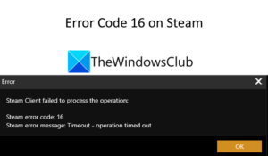 Fix Steam Error Codes 16 and 80 on Windows PC