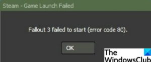 Fix Steam Error Codes 16 and 80 on Windows PC