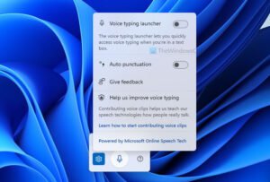 How to use Voice Typing Tool in Windows 11