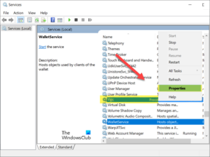 Fix Valorant Vanguard Not initialized error
