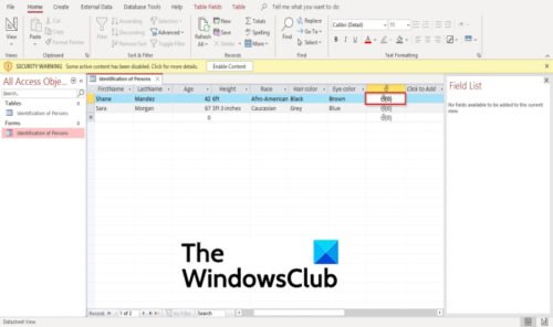 How to insert Picture in Access Form