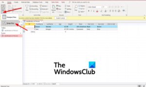 How to insert Picture in Access Form