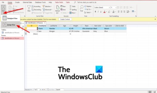 How to insert Picture in Access Form