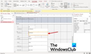 How to insert Picture in Access Form