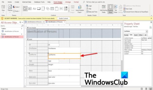 How to insert Picture in Access Form