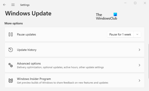 No audio input device found on Windows 11/10