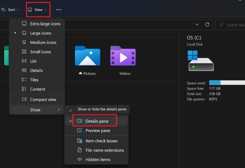 How to show Details pane in File Explorer in Windows 11/10