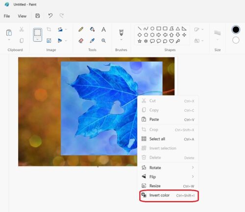 Microsoft Paint Tips and Tricks for Windows 11