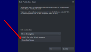 Steam Remote Play not working on Windows PC