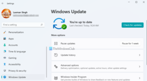 Windows Update Settings in Windows 11