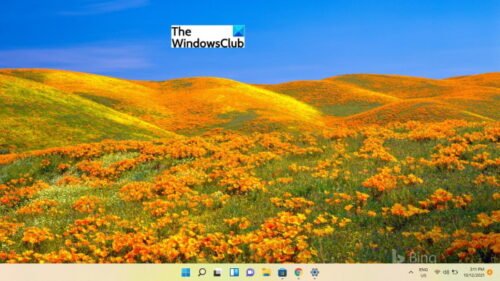 Best Free Windows 11 Themes from Microsoft Store