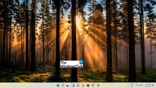 Best Free Windows 11 Themes from Microsoft Store