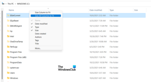 How to change Column Width size of File Explorer in Windows 11