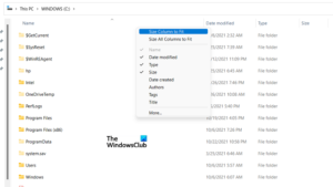 How to change Column Width size of File Explorer in Windows 11