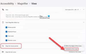 Keep Magnifier mouse cursor in center of screen in Windows 11
