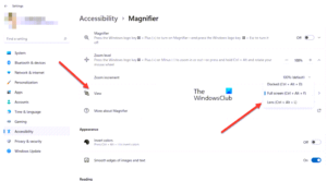 Magnifier Tips and Tricks in Windows 11