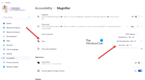 Magnifier Tips and Tricks in Windows 11